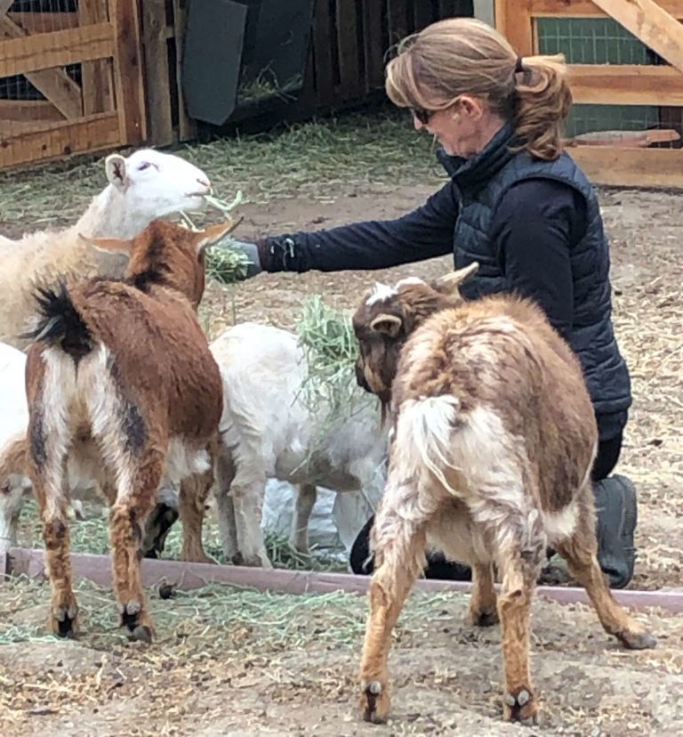 About ⋆ Heart and Soul Yoga